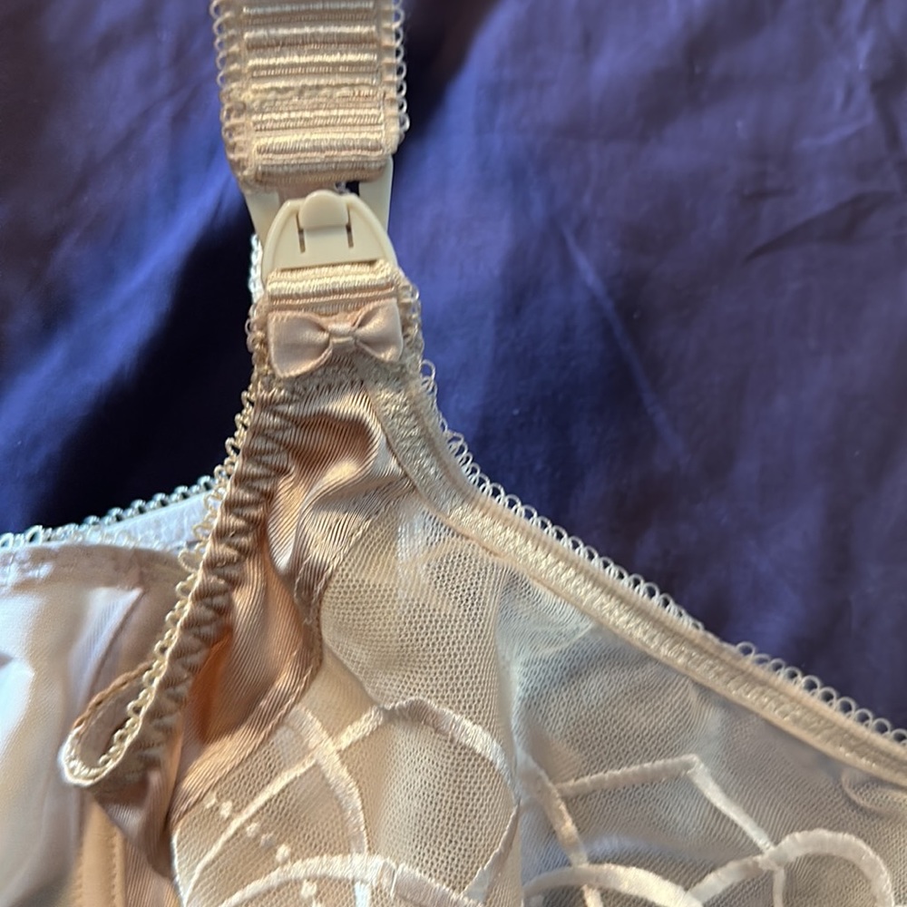 Elomi Bra (Converted To Nursing Bra By Nordstrom Alte… - Gem